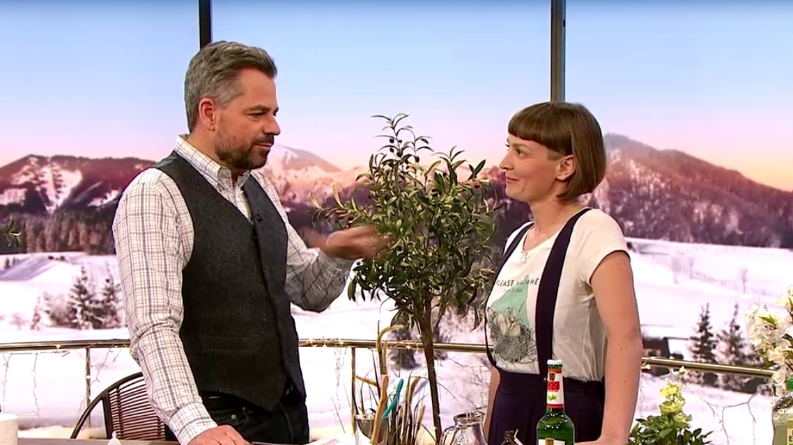 Fernsehen - livelifegreen zu Gast beim BR - livelifegreen